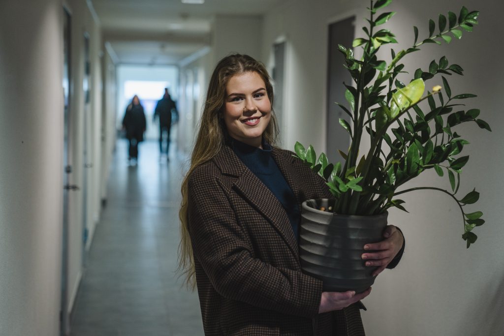 Moving out - SiMolde