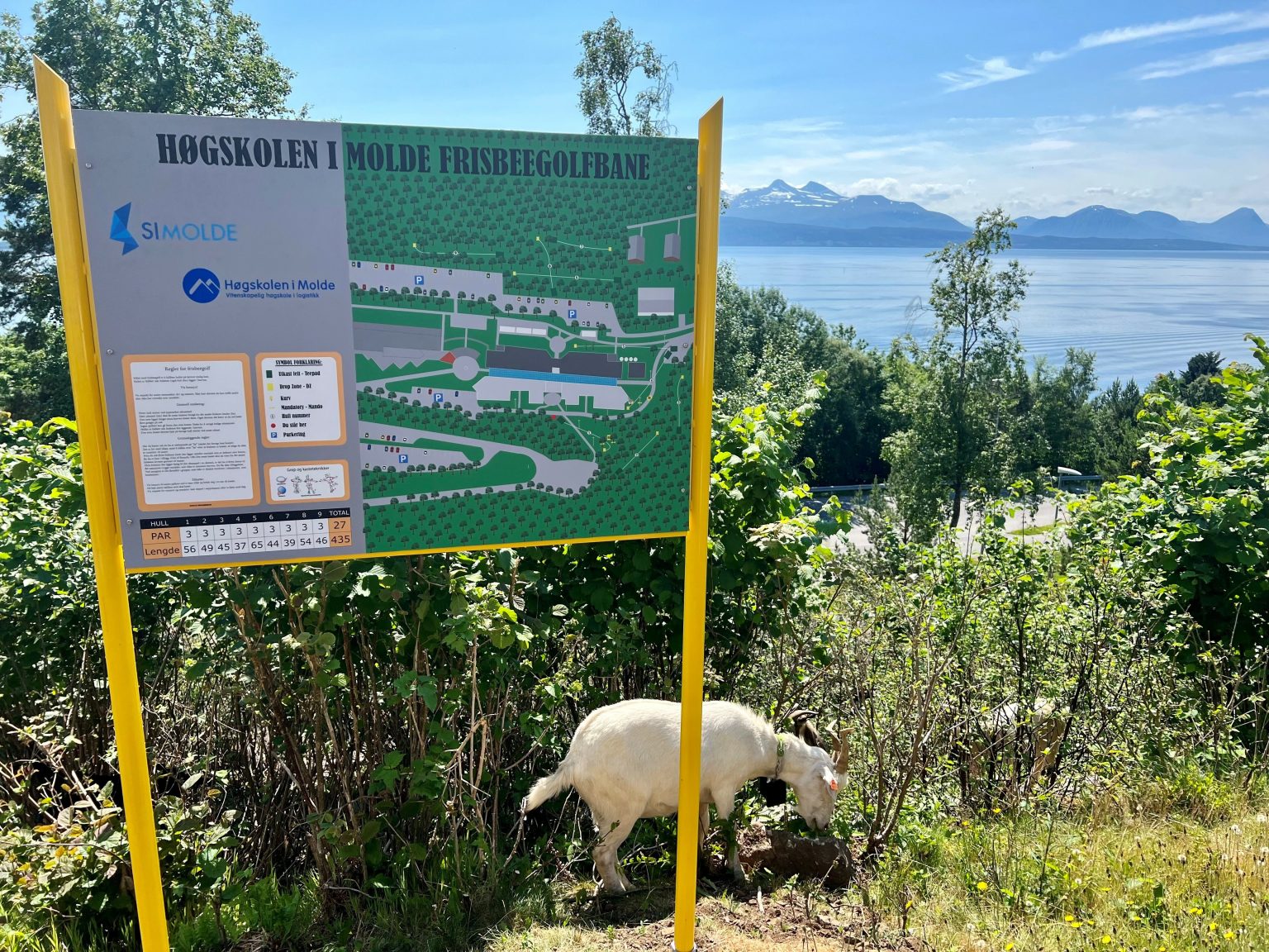 Aktiv student i Molde - SiMolde