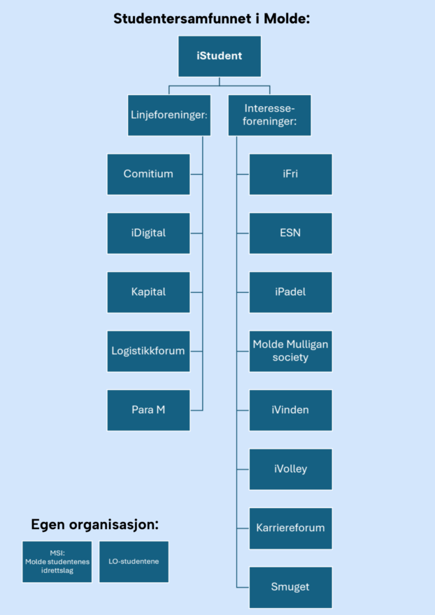 Organisering av Studentersamfunnet ved Høgskolen i Molde - SiMolde